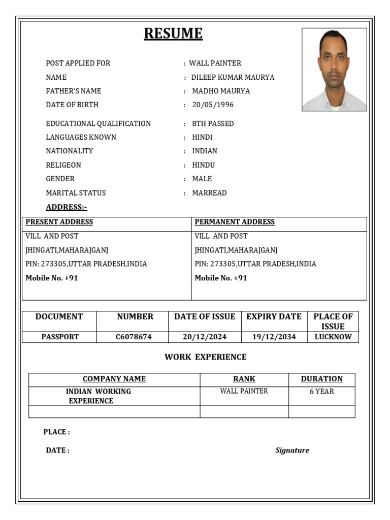 Dileep Kumar Maurya Wall Painter (2) | PDF