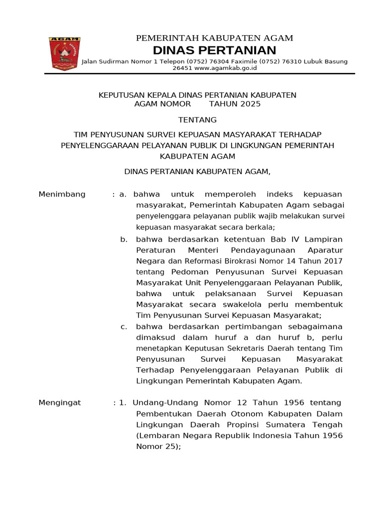 Tim SKM Pelayanan Publik Agam | PDF