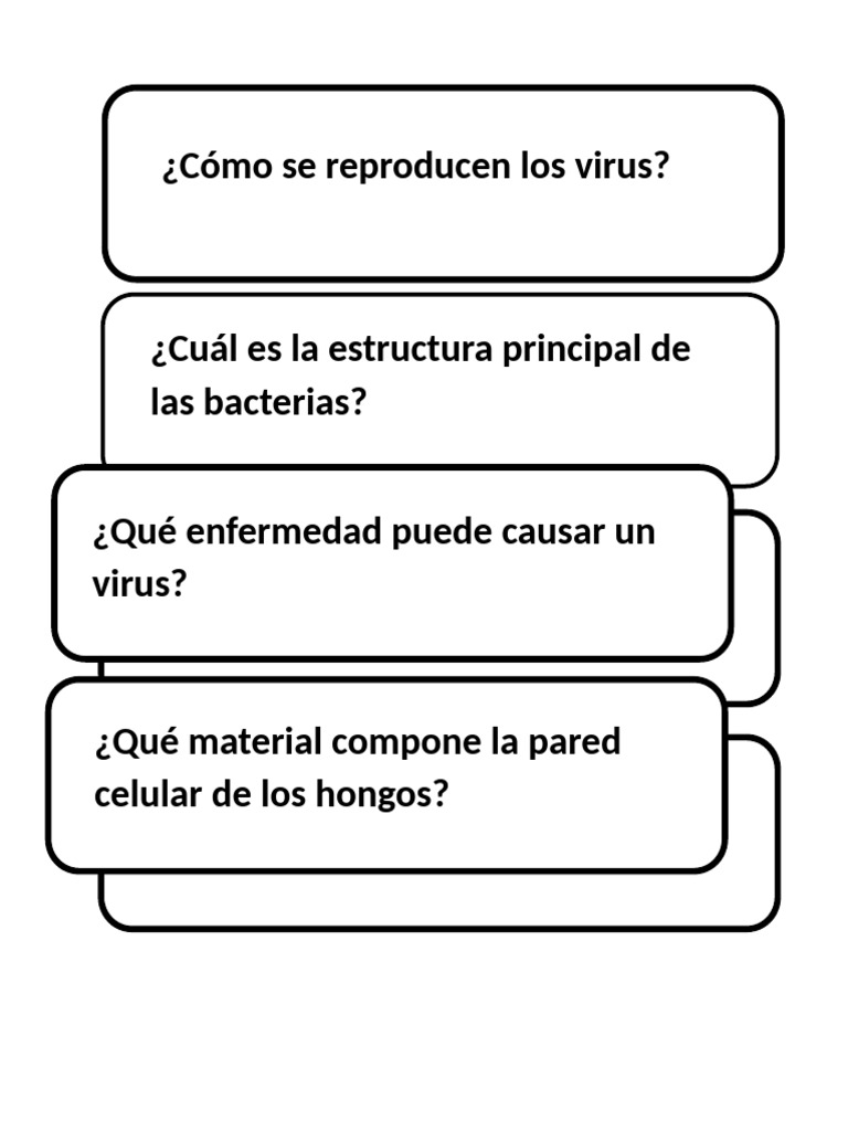 Preguntas de Ciencia | PDF