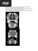 Proheart 12 Mixing and Dosing Guide | PDF | Dose (Biochemistry) | Chemistry