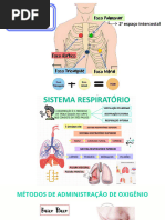 Tabela de Fluxos e Fio2 Cpap Bolhas | PDF