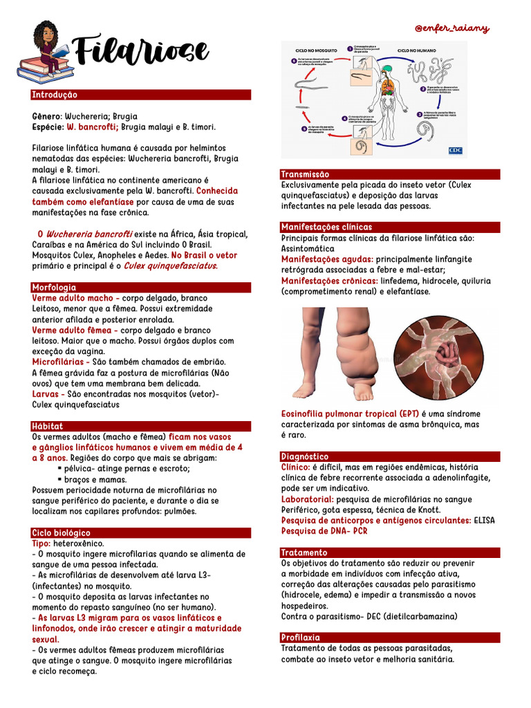 Filariose: Causas, Sintomas e Tratamento | PDF | Doenças e distúrbios ...