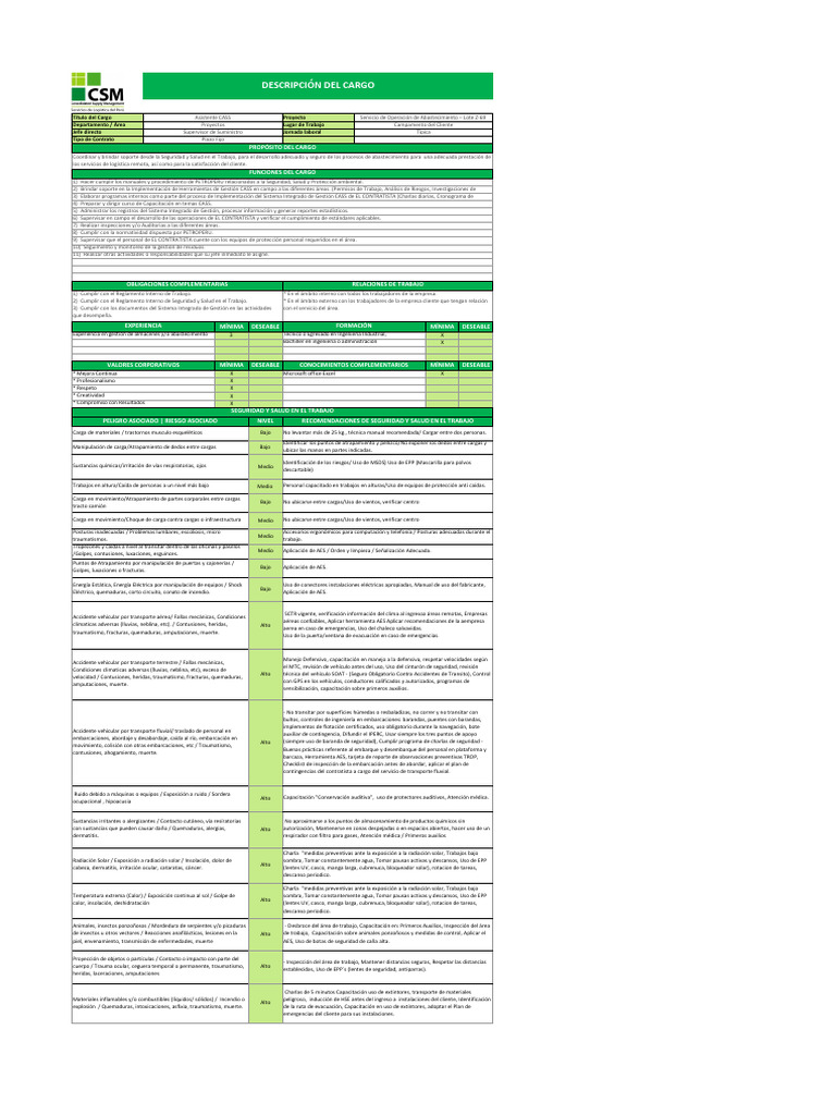 Asistente CASS | PDF | La seguridad informática | Seguridad