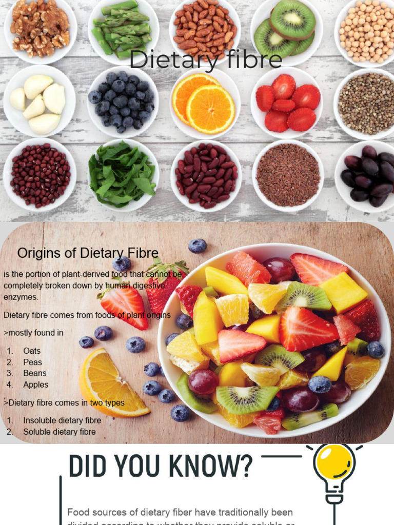 Science Project Dietary Fibre | PDF