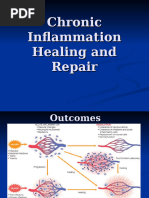 Proheart 12 Mixing and Dosing Guide | PDF | Dose (Biochemistry) | Chemistry
