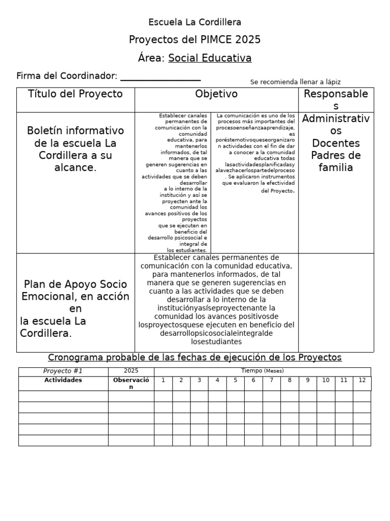 Proyectos Del PIMCE 2025 | PDF