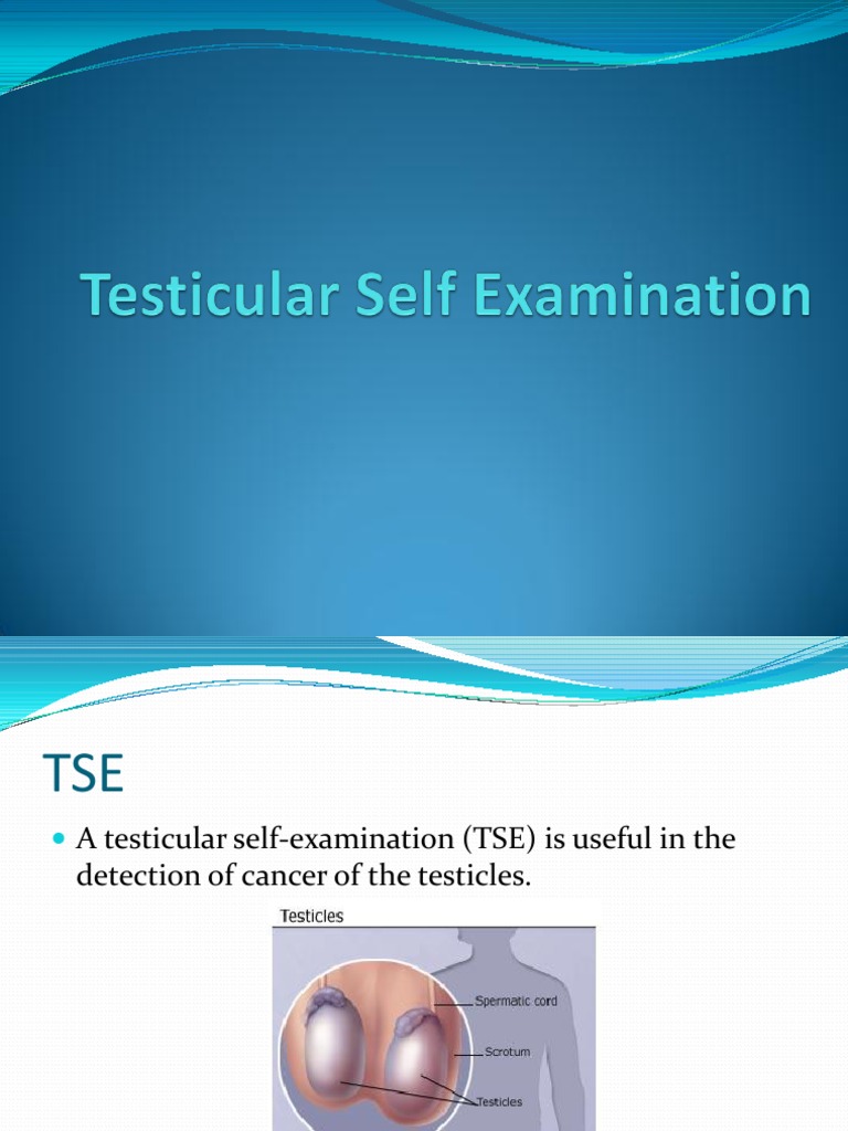 Testicular Self Examination | Testicle | Cancer