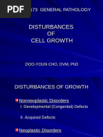 Proheart 12 Mixing and Dosing Guide | PDF | Dose (Biochemistry) | Chemistry