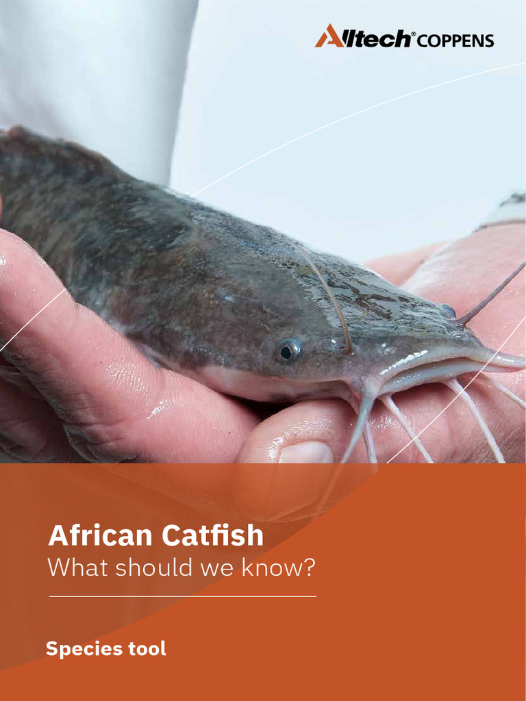African Catfish Farming Guide | PDF | Water | Aquaculture