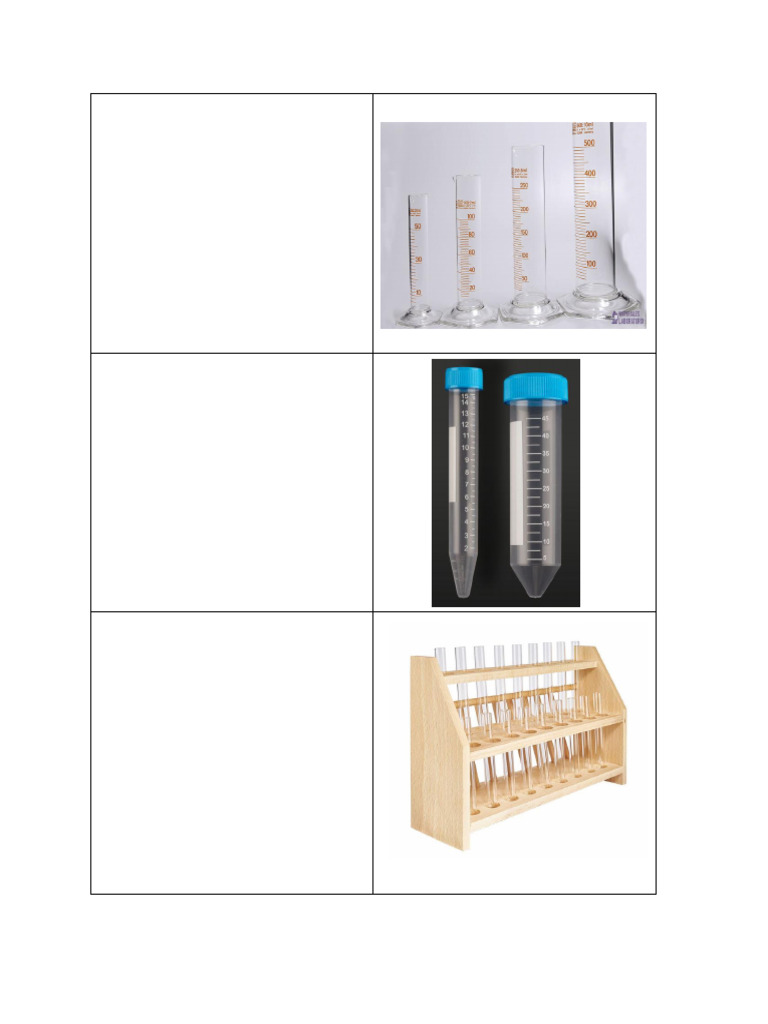 Lab Oratorio | PDF | Microscopio | Laboratorios