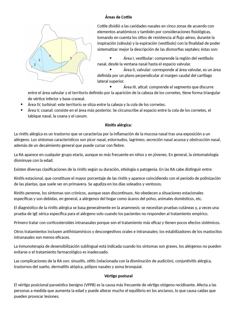 Áreas de Cottle y Rinitis Alérgica | PDF | Alergia | Medicina CLINICA