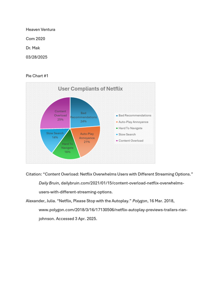 Visual Data Assignment Netflix-3 | PDF