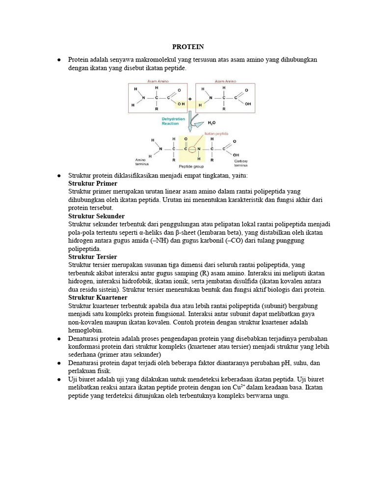 Struktur dan Denaturasi Protein | PDF