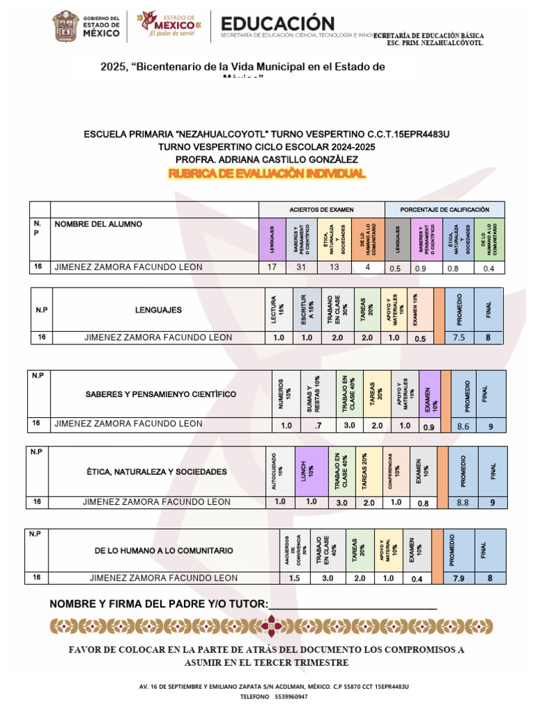 Rubricas Individuales | PDF | Etapas educativas | Educación primaria
