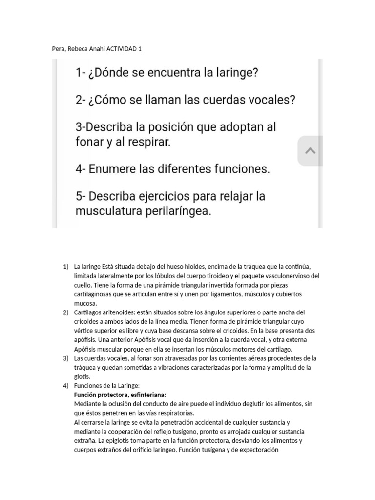 Actividad 1 Tfo Fono | PDF | Laringe | Sistema respiratorio