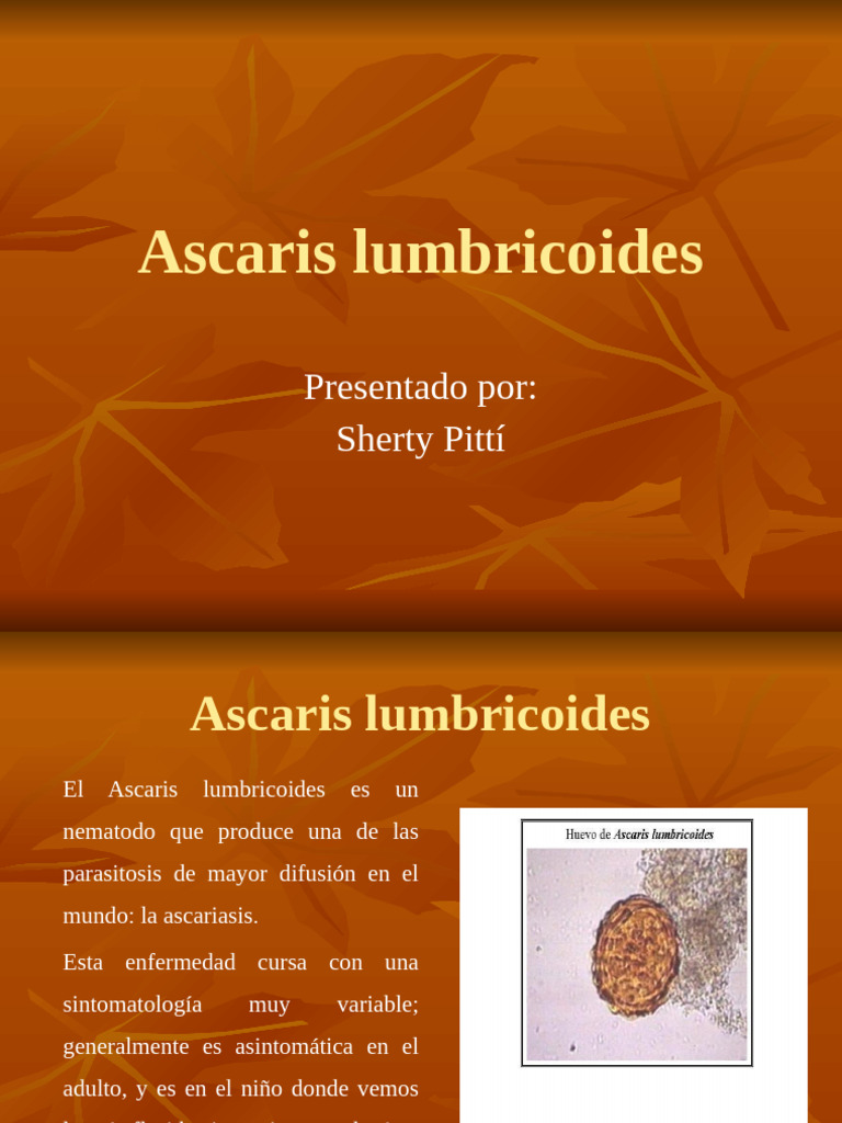 Ascaris, Trichuris, Oxiurus y Uncinarias | PDF | Sistema reproductivo