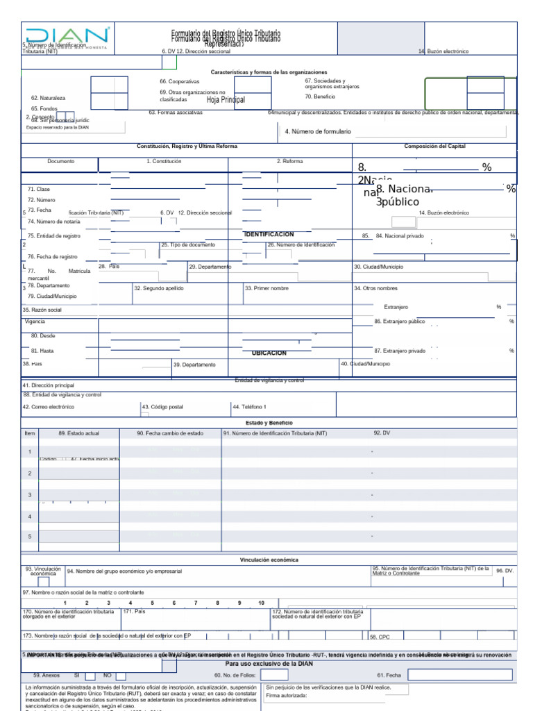 Rut Editable para Envio A La Dian. | PDF
