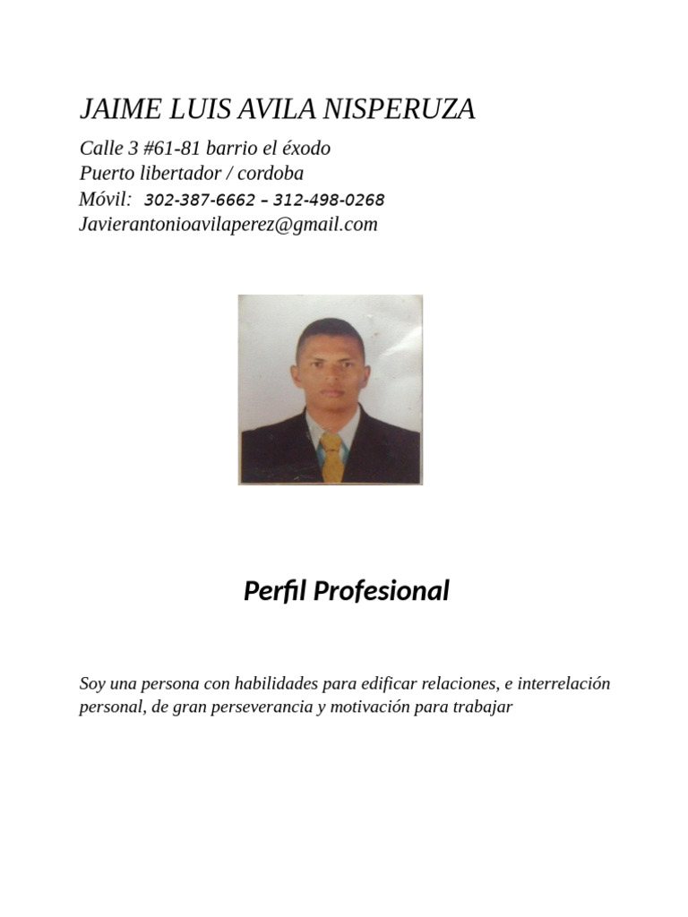 Hoja - Jaime Luis Avila Nisperuza..1 | PDF