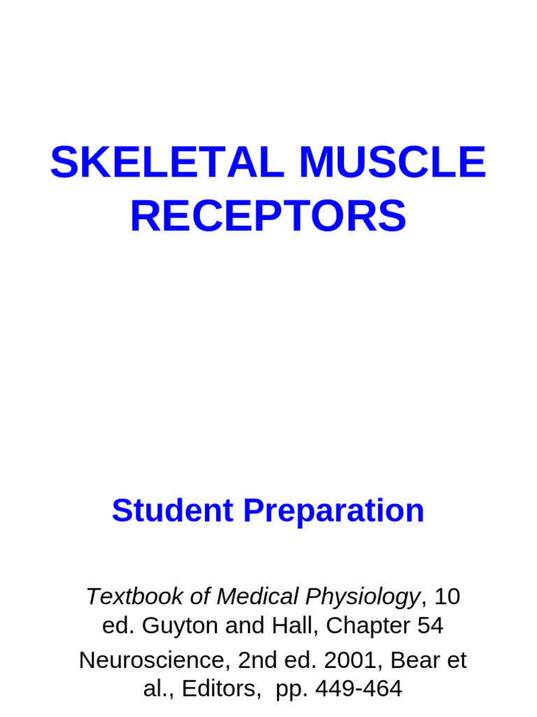 Skeletal Muscle Receptors | PDF | Motor Neuron | Skeletal Muscle
