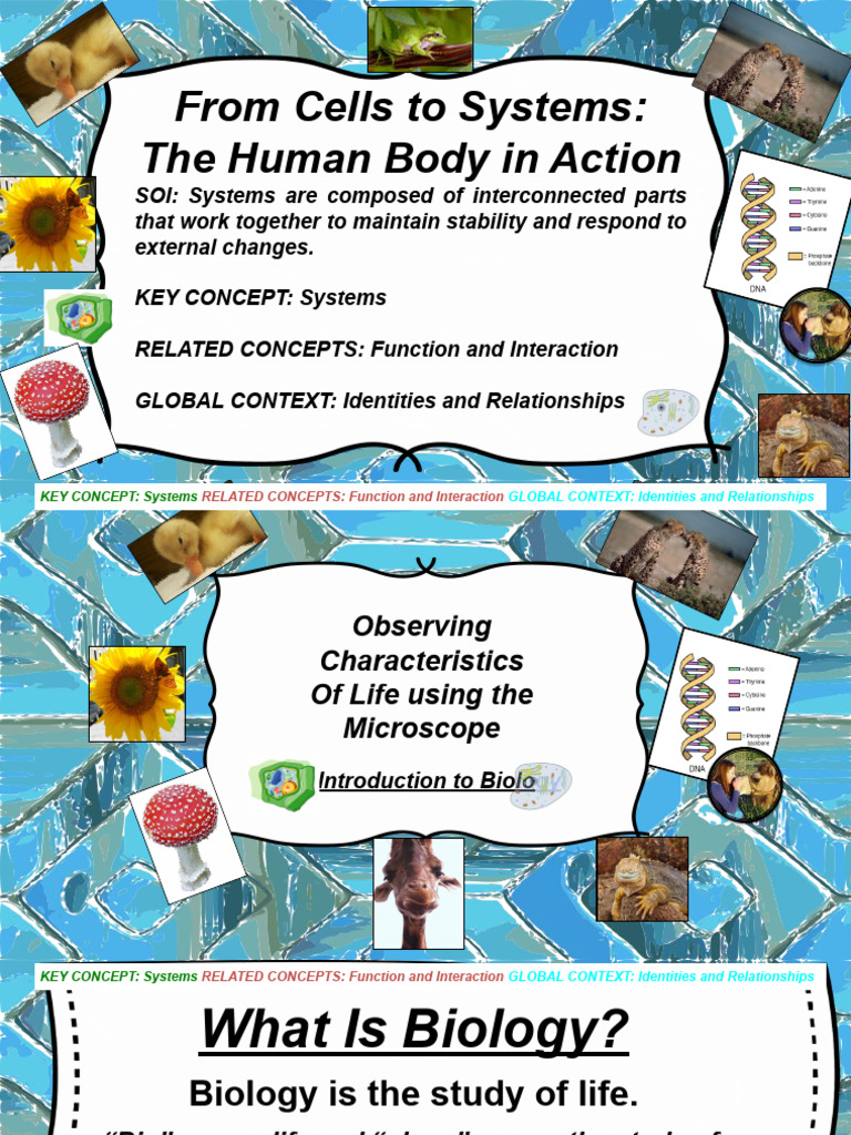 Observing Characteristics of Life Using The Microscope | PDF | Cell ...