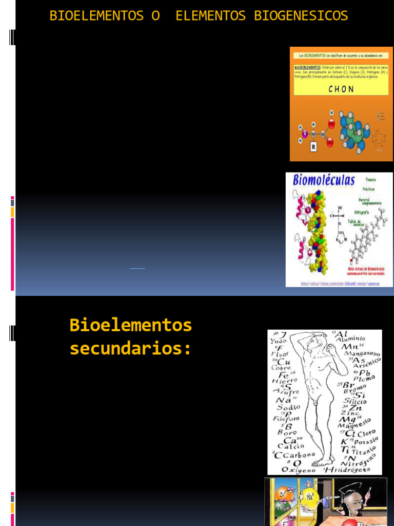 Bioelementos o Elementos Biogenesicos-1 | PDF | Calcio | Elementos químicos