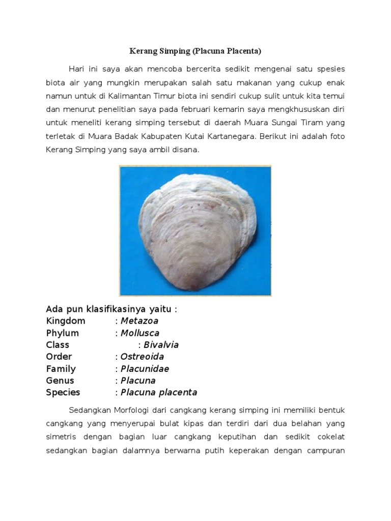 Kerang Simping | PDF