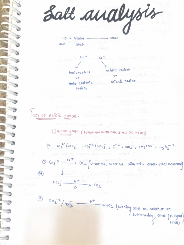 Salt Analysis - 250412 - 064458 | PDF