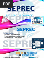 Formulario Seprec | PDF | Business