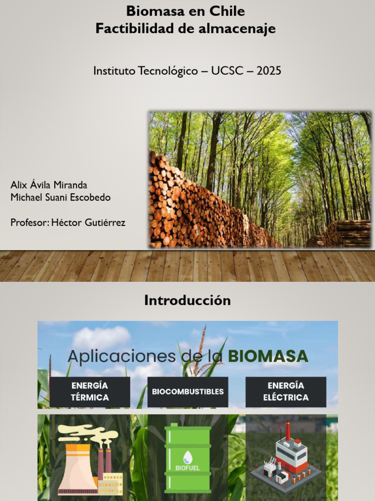 Biomasa Eval2 - Avance1 - Avila-Suani | PDF