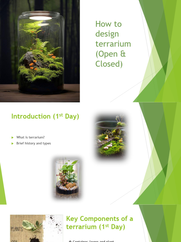 Complete Guide to Designing Terrariums | PDF