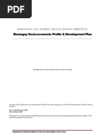 3-Year Barangay Development Plan Template | PDF