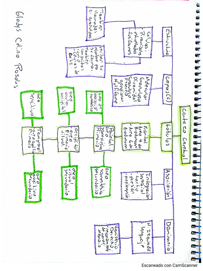 mapa mental cap 8 | PDF