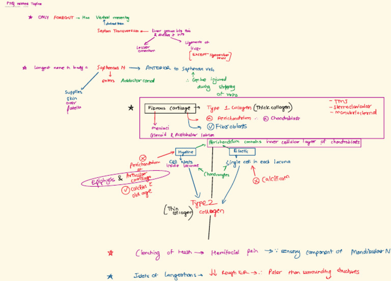 Anatomy Pyq Related Topics | PDF