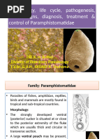 Immature Amphistomes and Pathogenesis | PDF