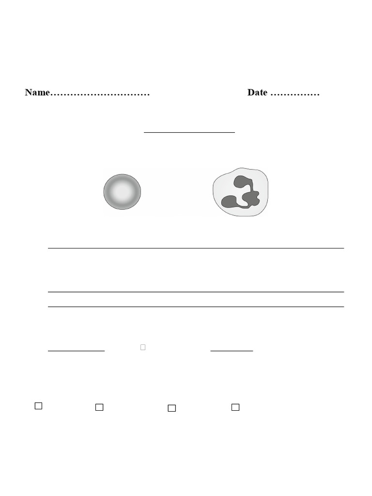 Short Test 2 g7 May | PDF | Respiratory System | Biology
