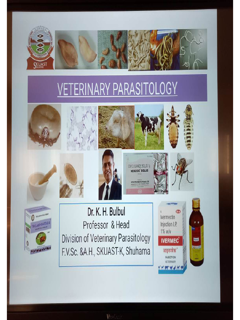 1 Lecture Parasitology - Compressed | PDF