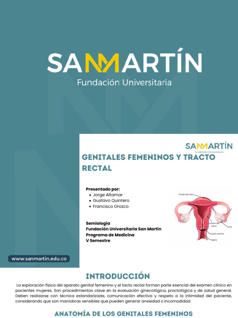 Exploración de genitales femeninos | PDF | Labios | Vagina