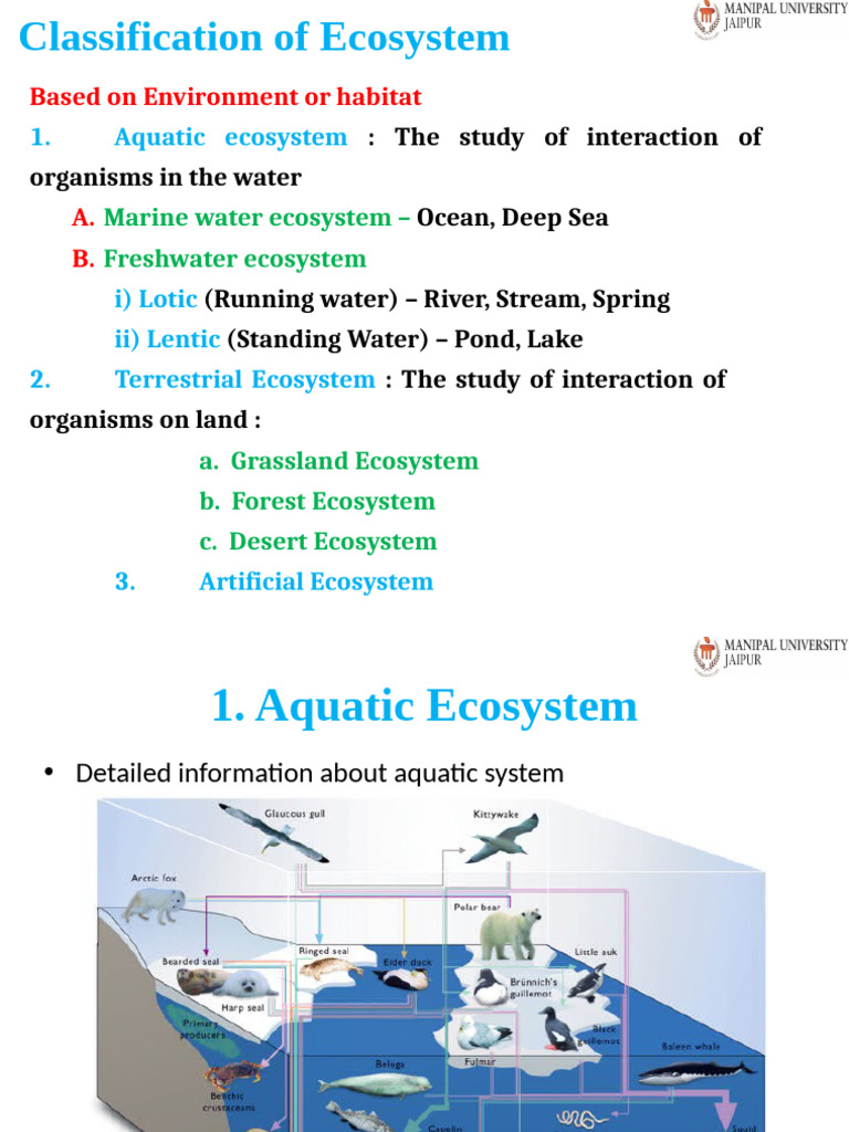 Lec 5 Ecosystem Classification | PDF | Food Web | Ecosystem