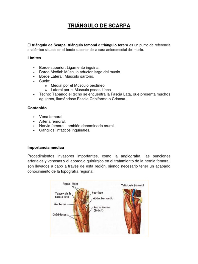 TRIÁNGULO DE SCARPA