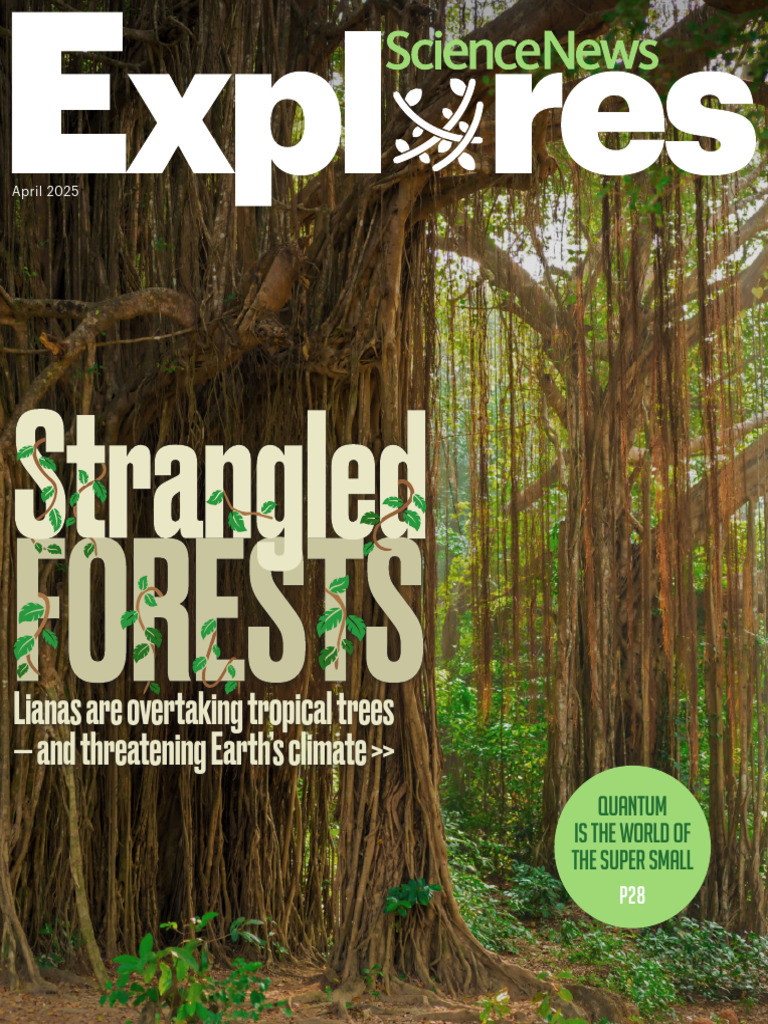 Science News Explores 04 2025 | PDF | Trees | Forests