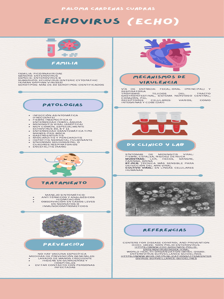 Echovirus PDF | PDF | Meningitis | Virus