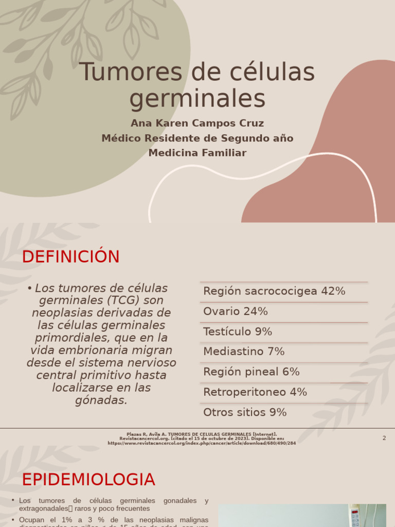 Tumores de células germinales | PDF | Neoplasias | Procesos biologicos