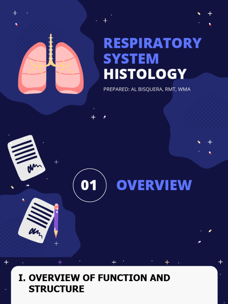 Histology of the Respiratory System | PDF | Respiratory Tract | Epithelium