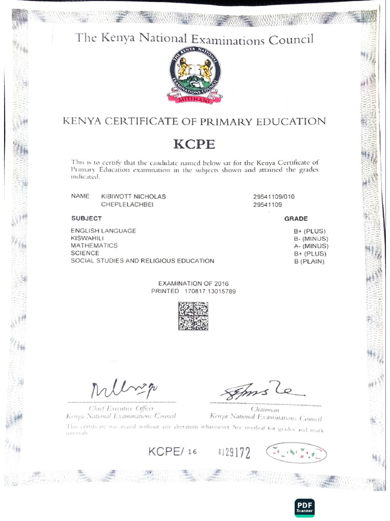 Primary Certificate | PDF