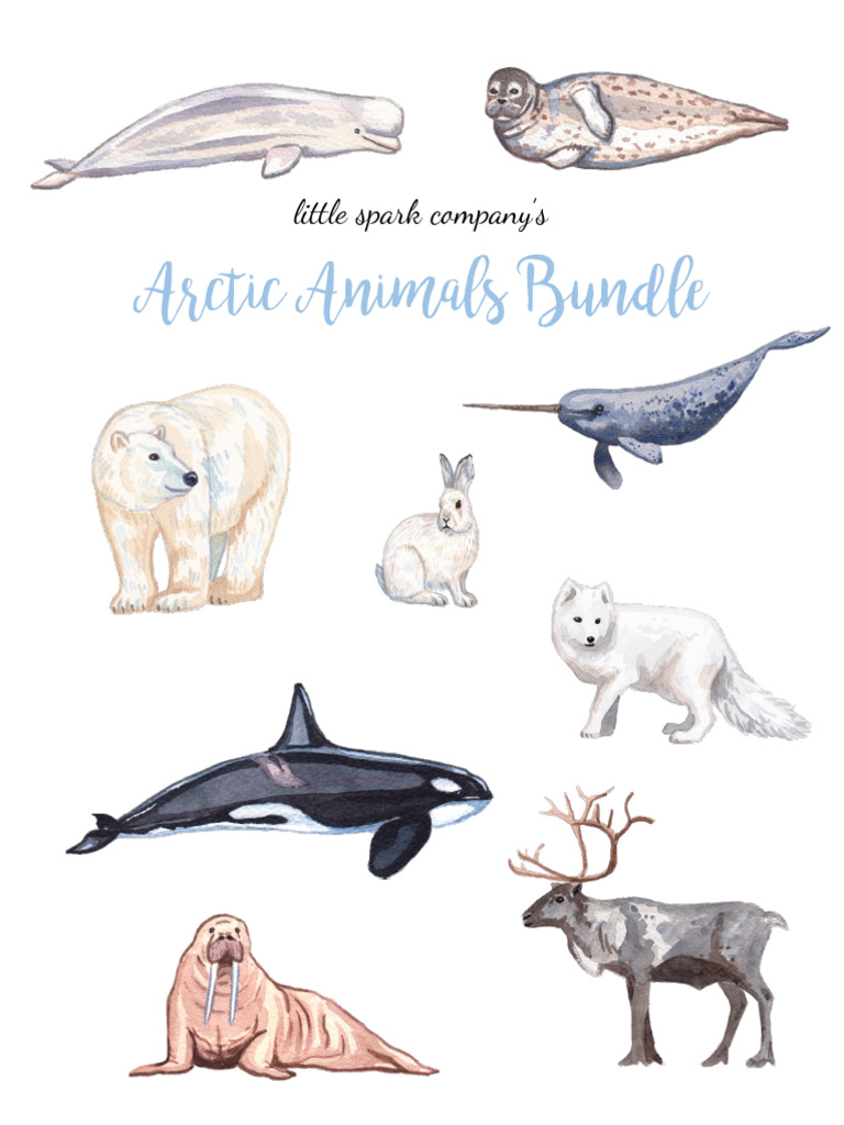 ArcticAnimalsBundle - LittleSparkCompany Copie - Copie | PDF | Arctic