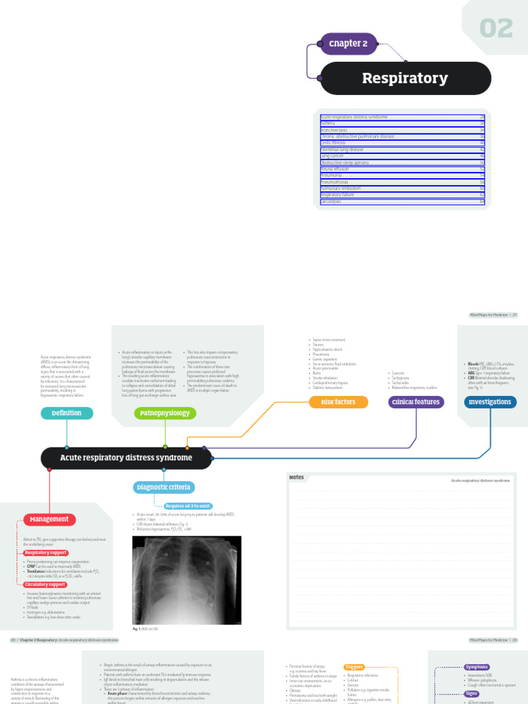 Mind Maps Respiratory | PDF | Respiratory Diseases | Asthma