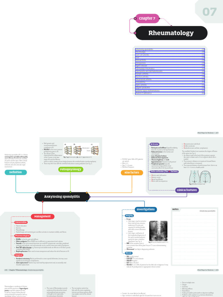 Mind Maps Rheumatology | PDF | Fibromyalgia | Diseases And Disorders