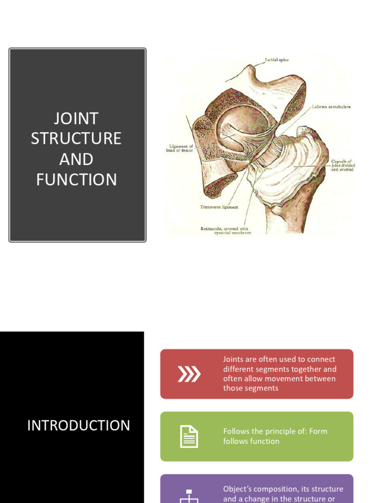 Joint Structure and Function PDF | PDF | Anatomical Terms Of Motion ...