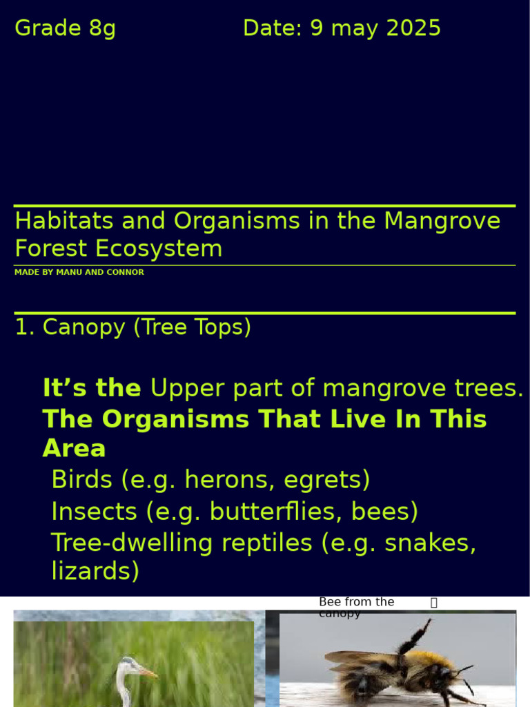 Connor and Manu's Project | PDF