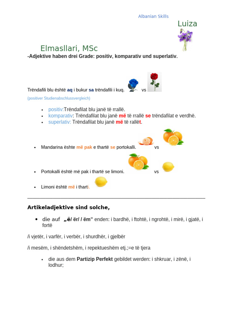 Mbiemrat Ne Shqip | PDF